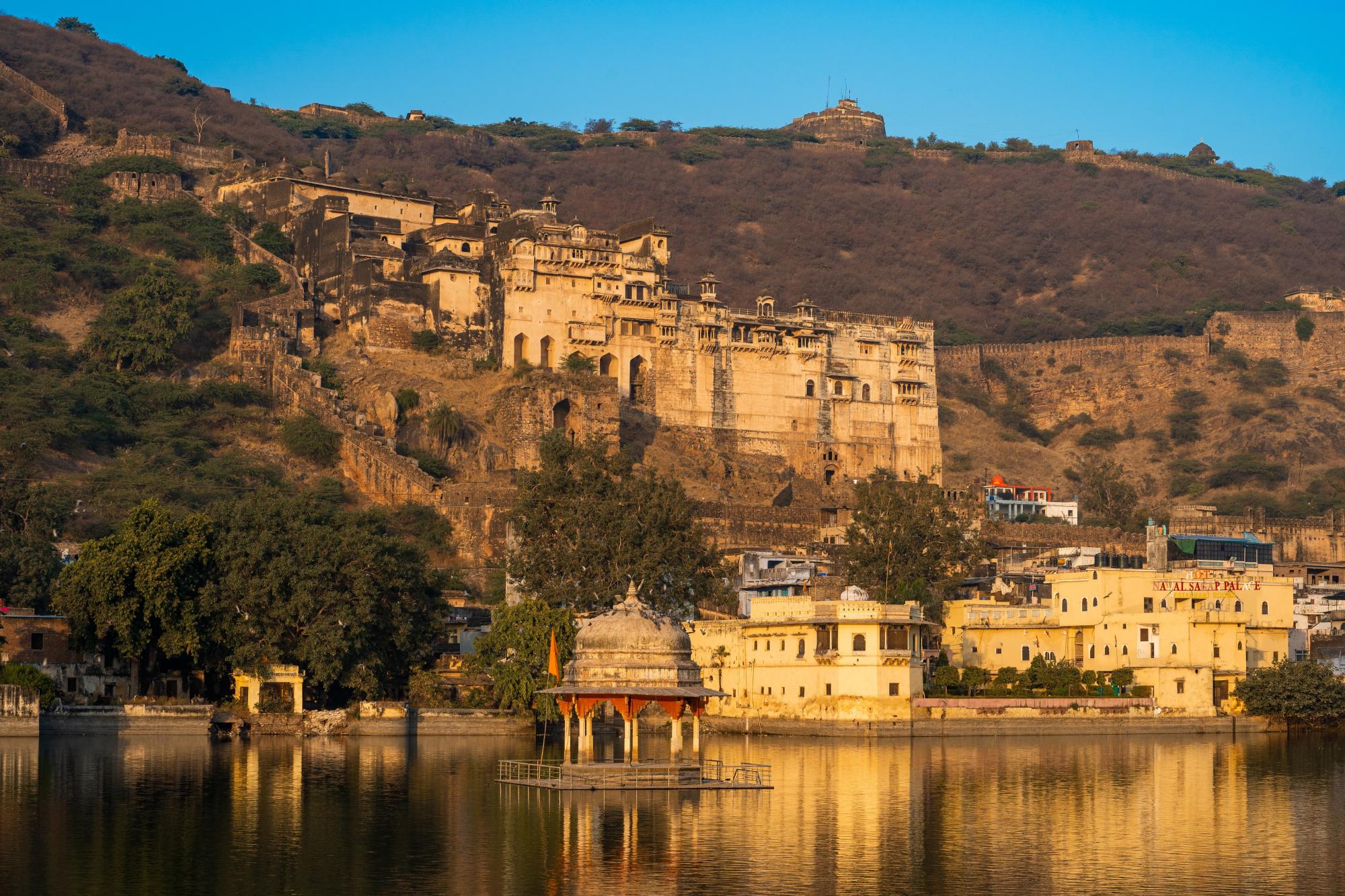 Zostel | Largest Branded Hostel Chain in India & Nepal