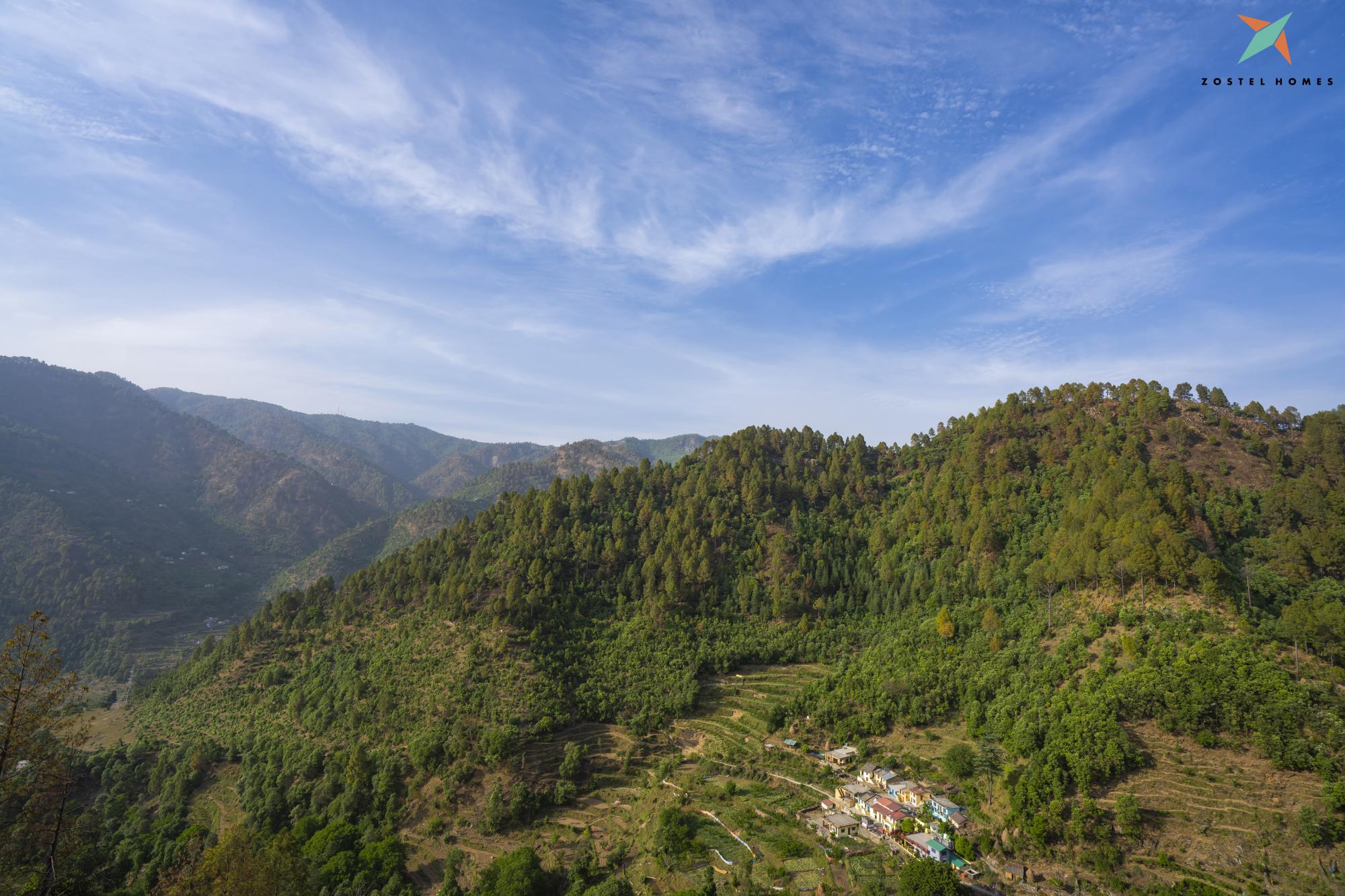 Zostel | Largest Branded Hostel Chain in India & Nepal