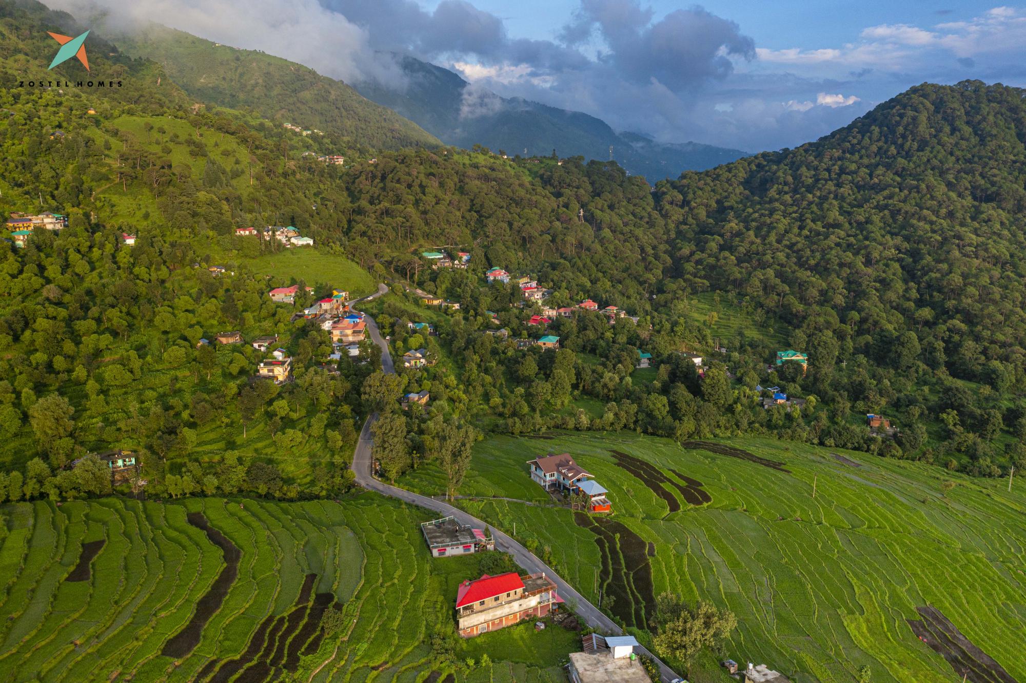 Zostel | Largest Branded Hostel Chain in India & Nepal